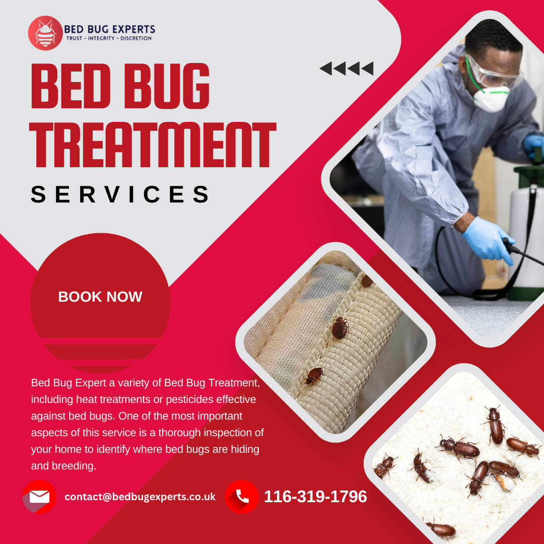 How To Get Rid of Bed Bugs | Quick Market